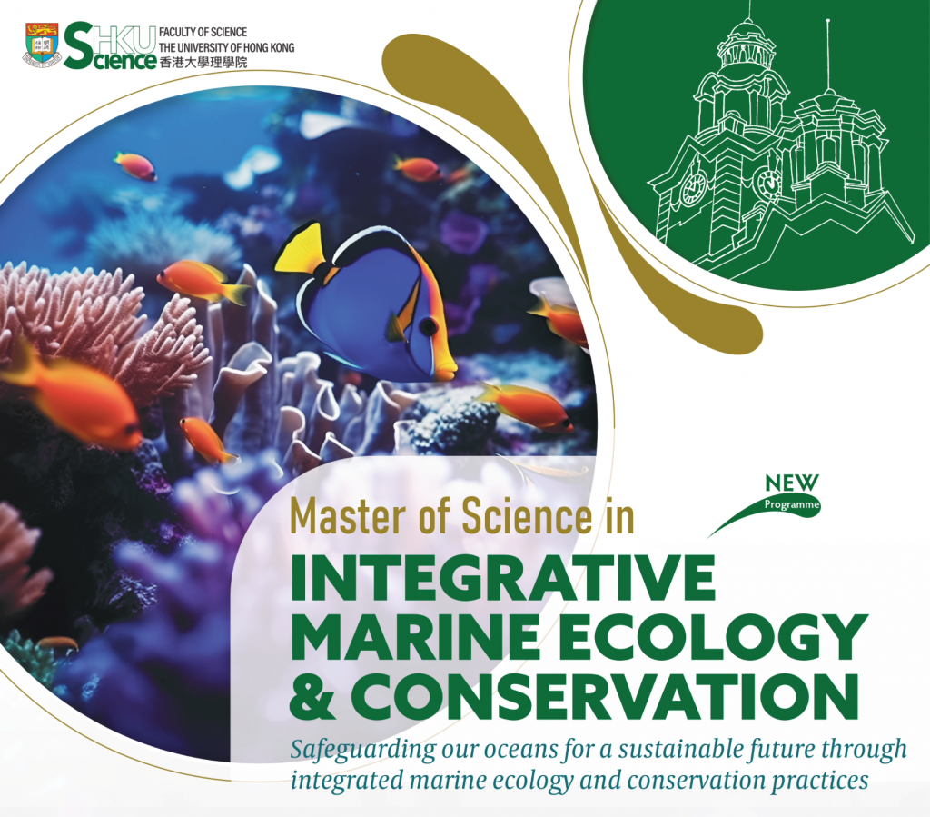 MSc of Science in Integrative Marine Ecology and Conservation | School ...